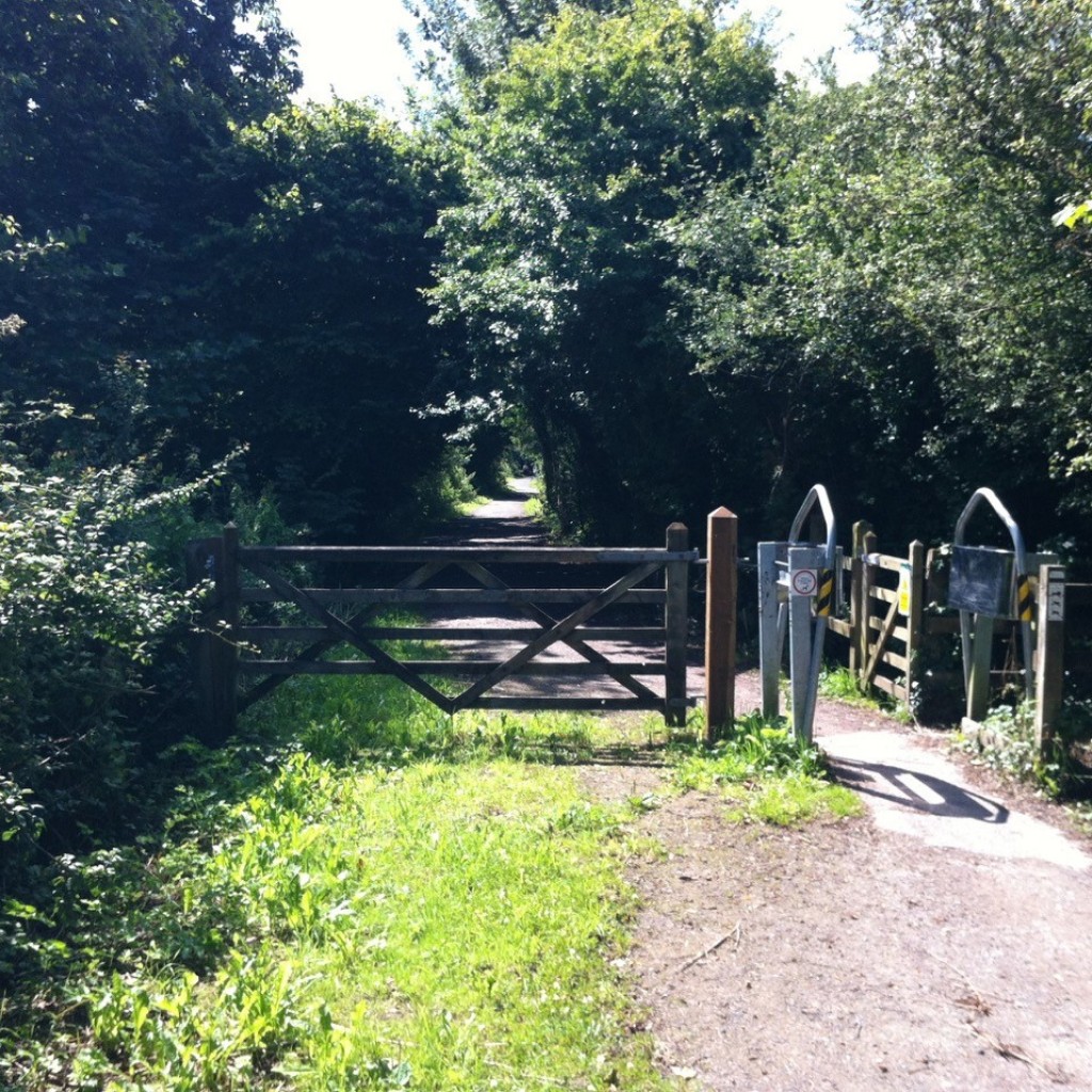 Strawberry Line bus walk – Cheddar Walking