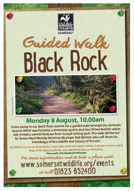 Black Rock Walk with SWT - Cheddar Walking